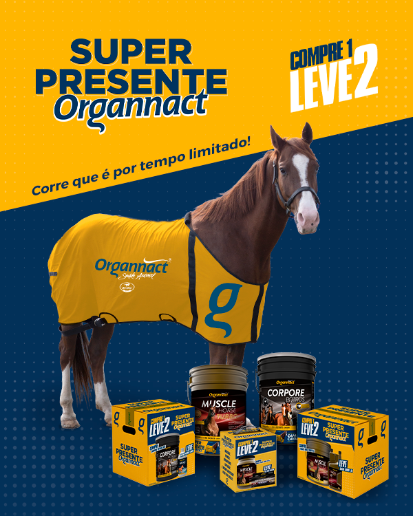 Produtos para Equinos | Organnact Saúde Animal