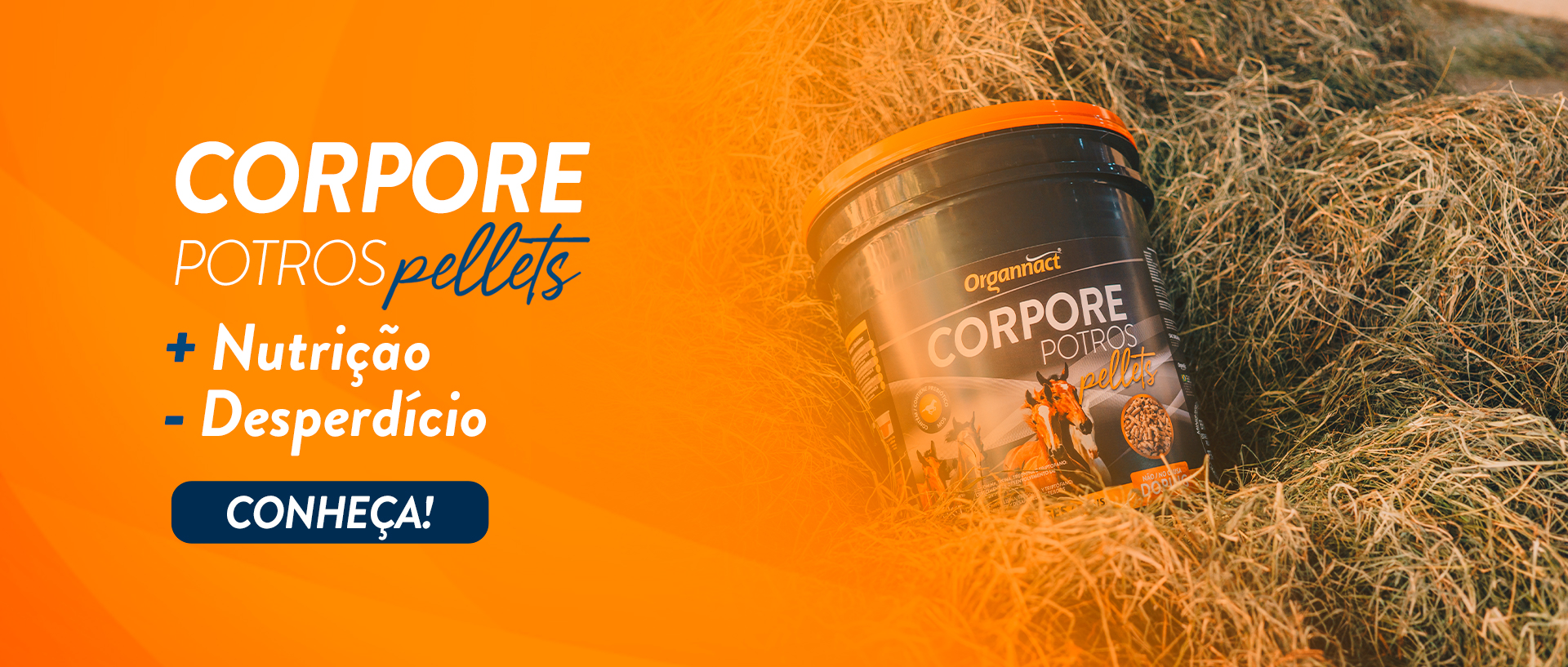 Produtos para Equinos | Organnact Carinho é o nosso suplemento