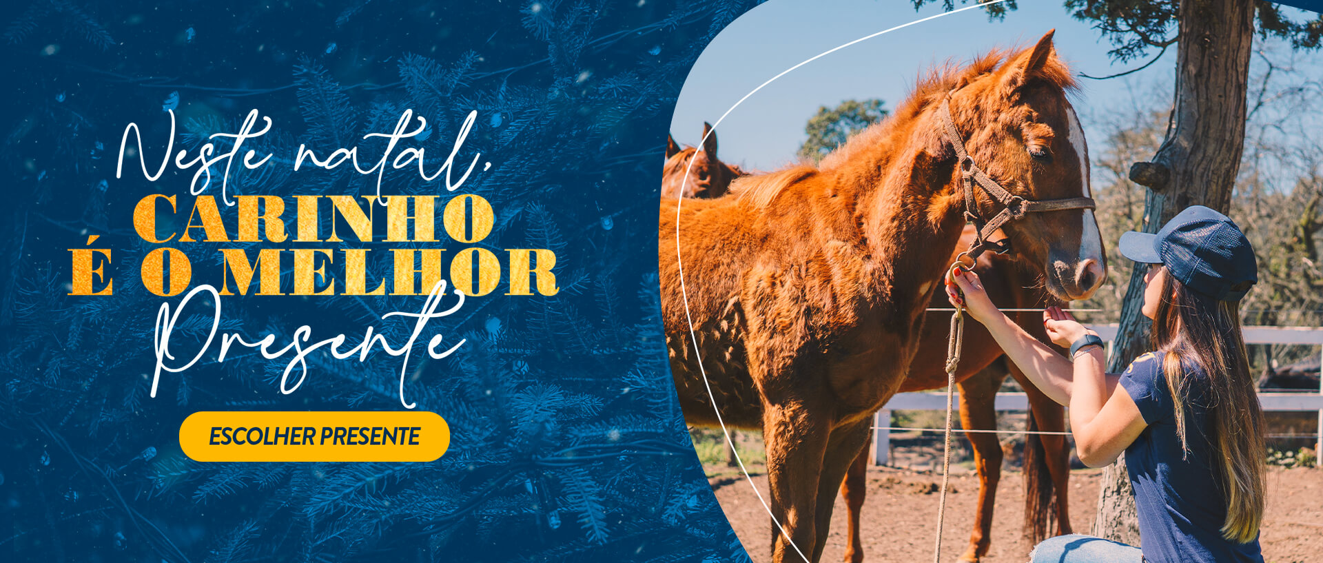 Organnact | Saúde Animal