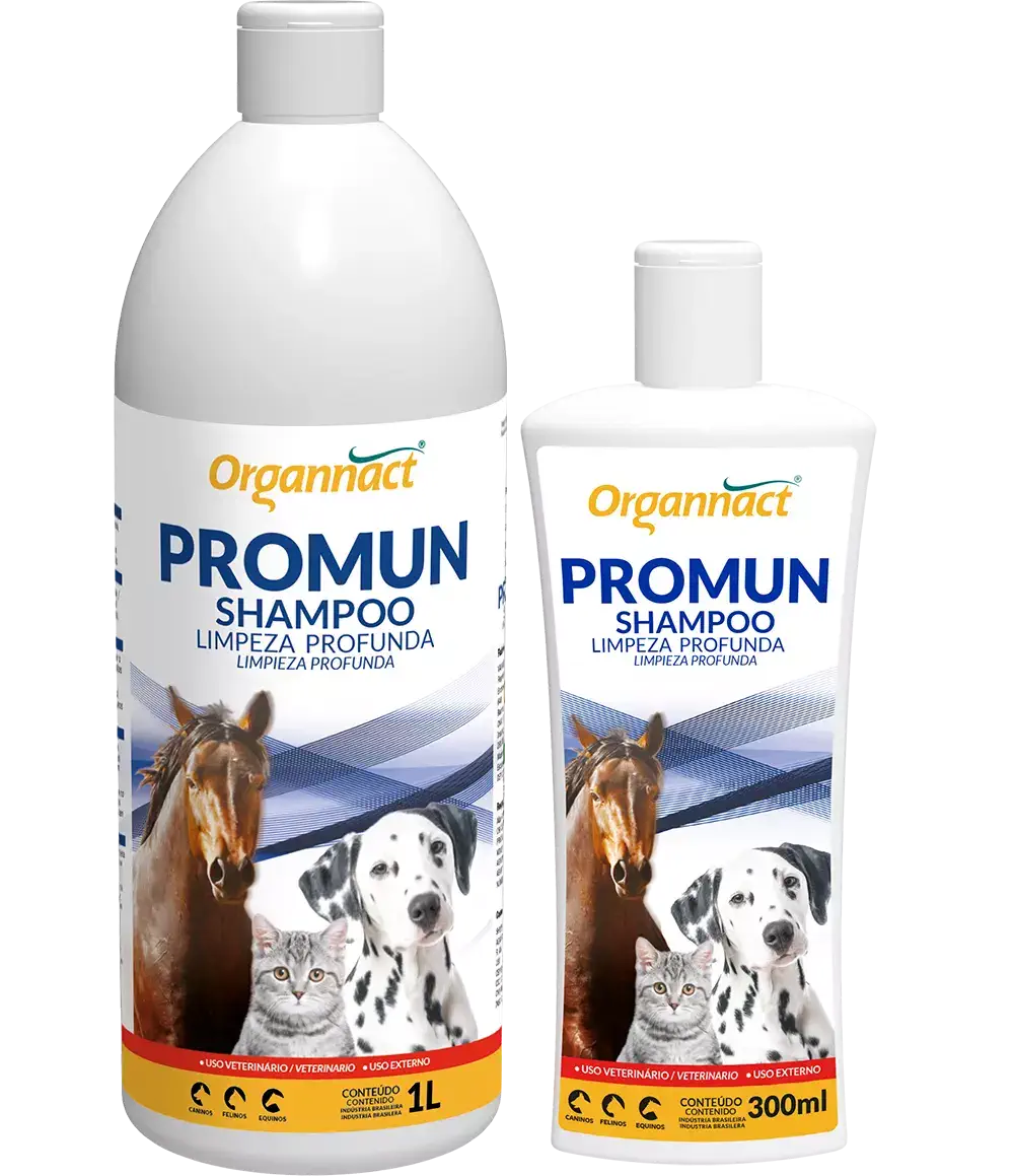 Categoria gateiros | Organnact