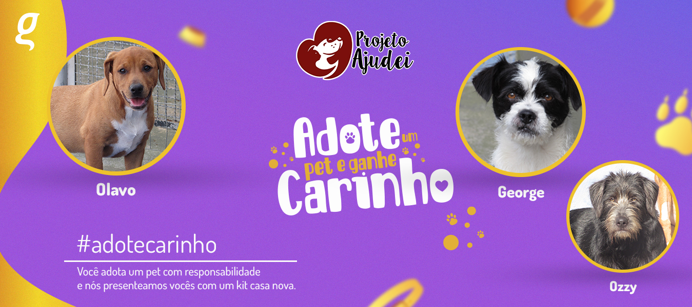 Adote um pet e ganhe carinho: pets do Projeto Ajudei | Organnact