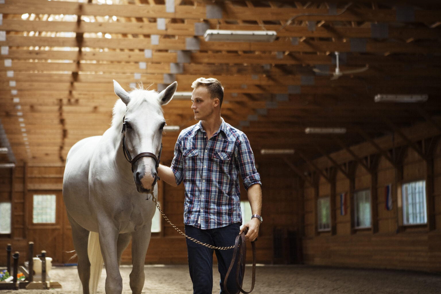 Personal Horse: mais do que um treinador de cavalos