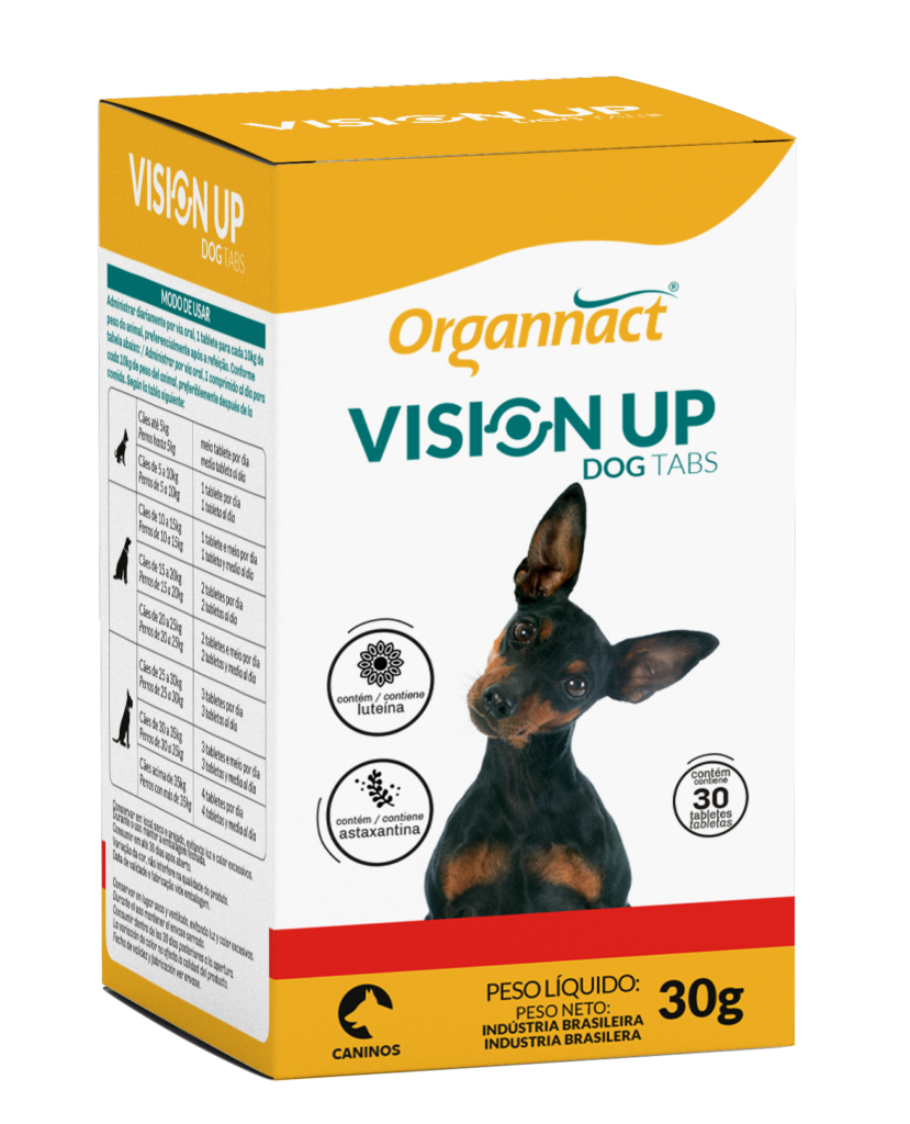 Vision Up Dog: Suporte para cães