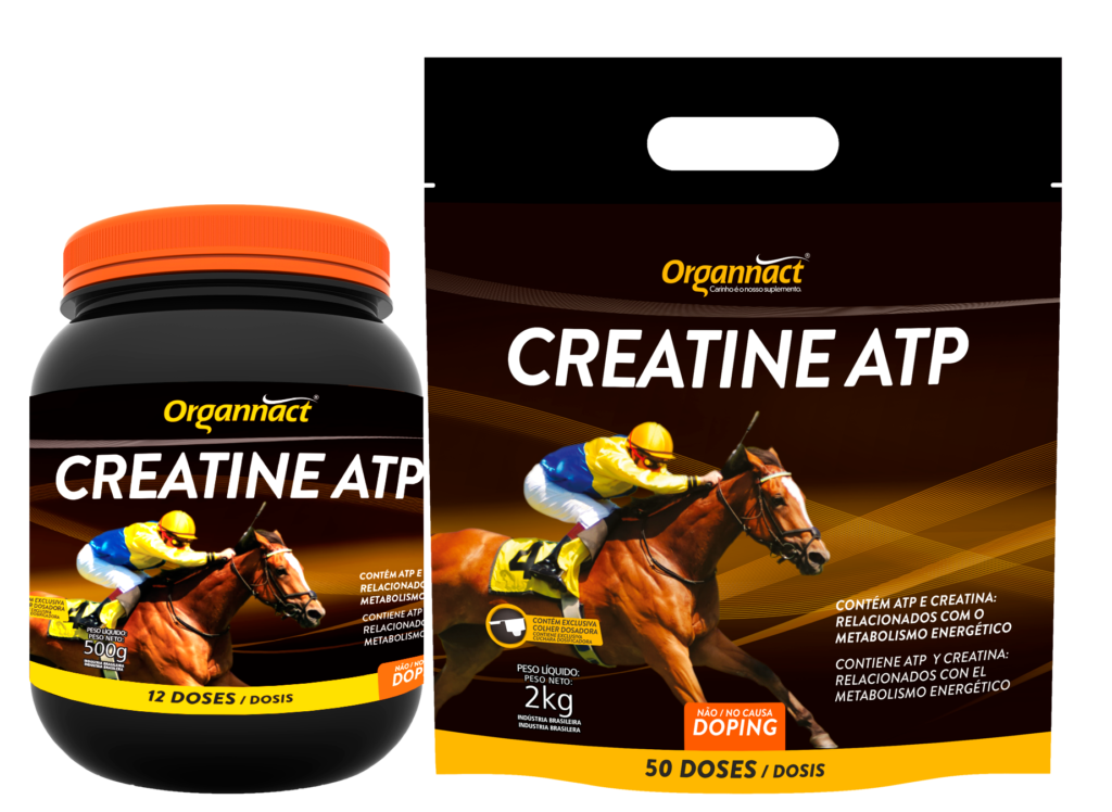 Creatine Atp - Organnact